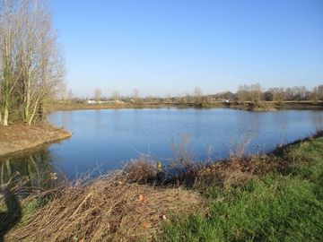 Sud-ouest Toulousain Randonnées: LONGAGES : Lac de la Linde