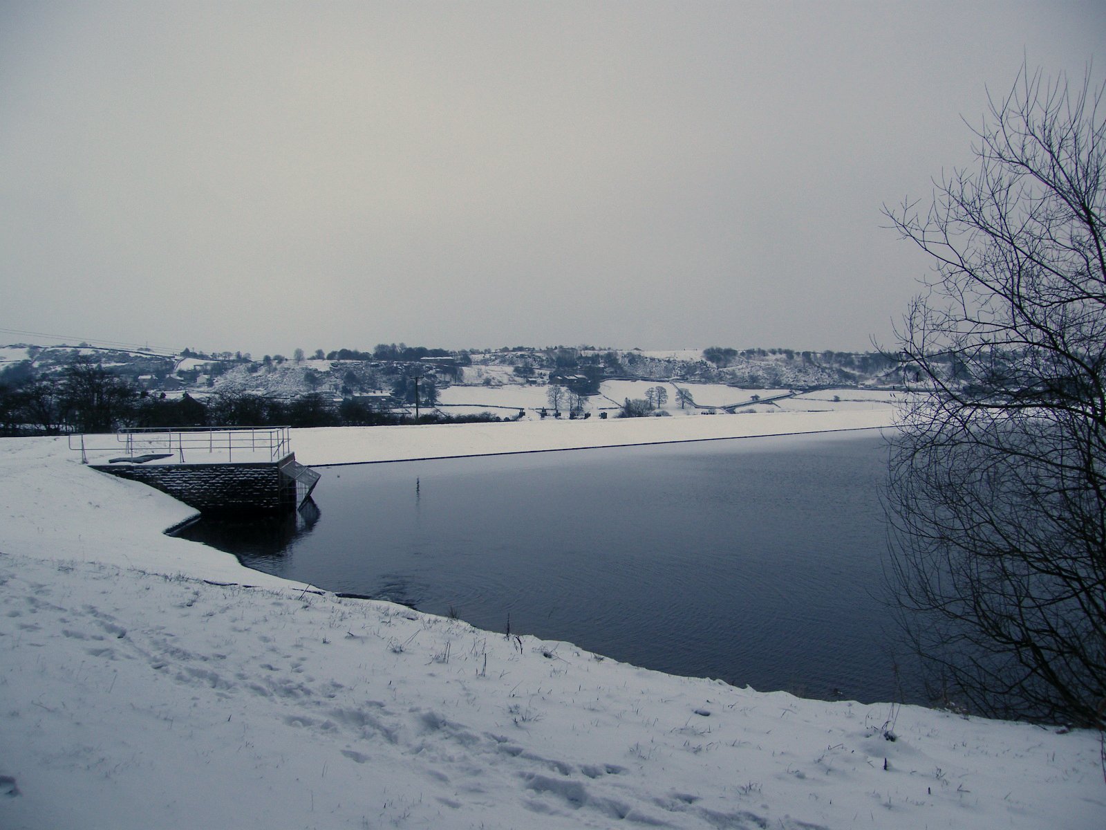WEST YORKSHIRE BIRDING: Soil Hill/Mixenden reservoir.