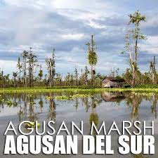 AGUSAN DEL SUR: TRIP TO AGUSAN DEL SUR