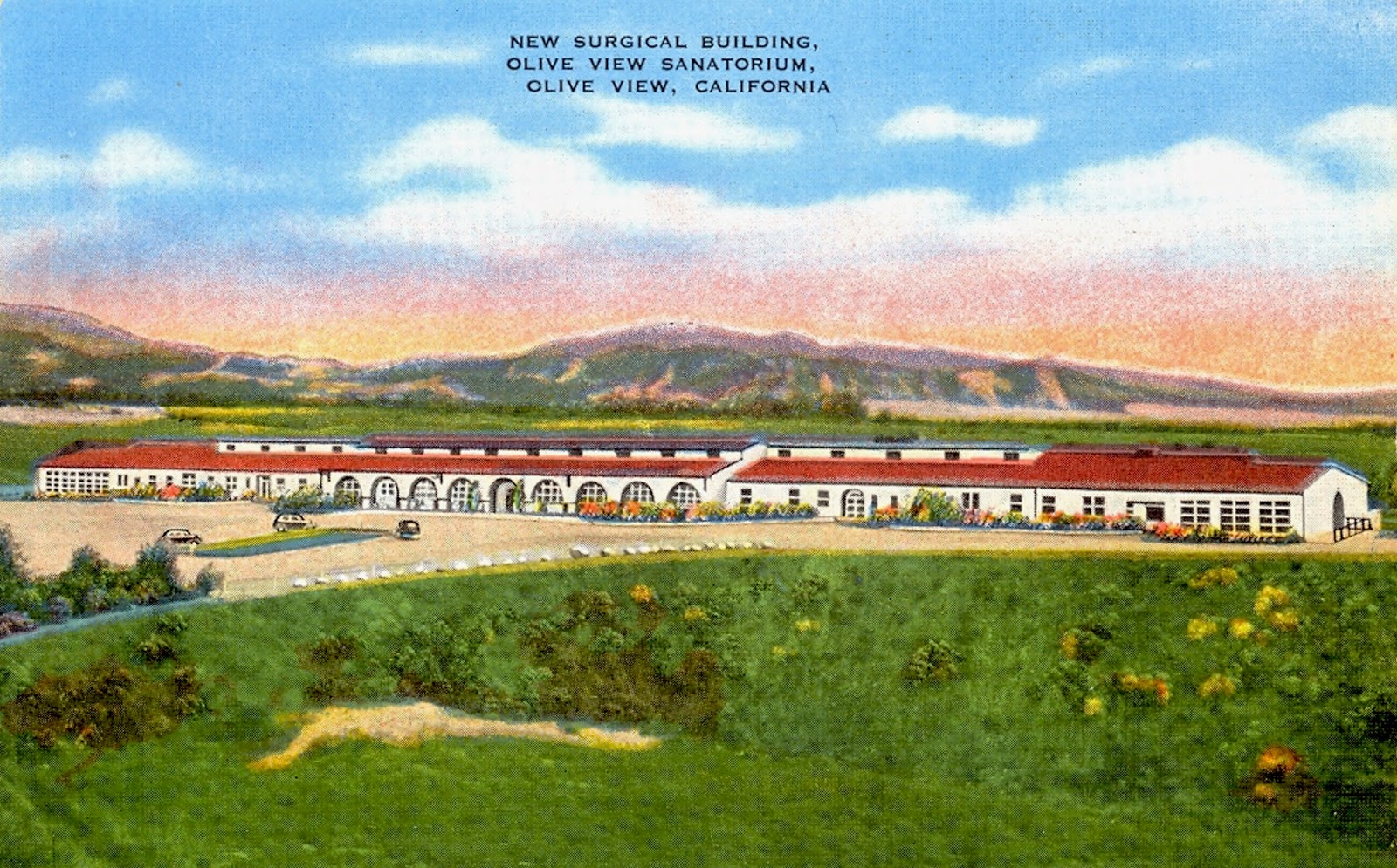 The Museum of the San Fernando Valley: OLIVE VIEW HOSPITAL