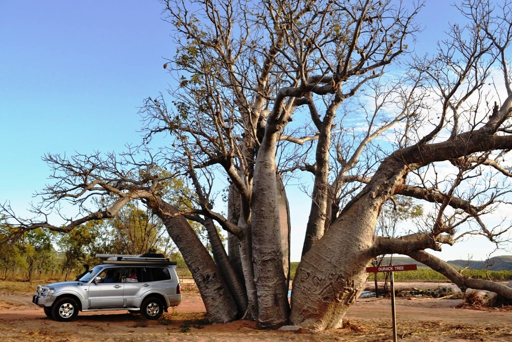 Cheney Caravan of Courage: Day 159. Kununurra