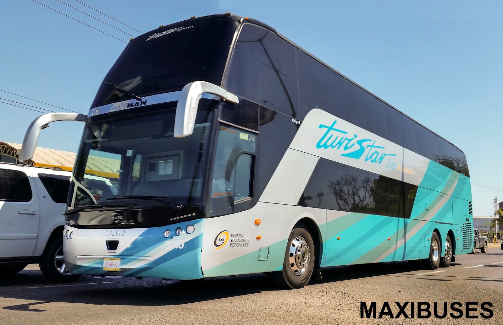 MAXIBUSES: TURISTAR LUJO
