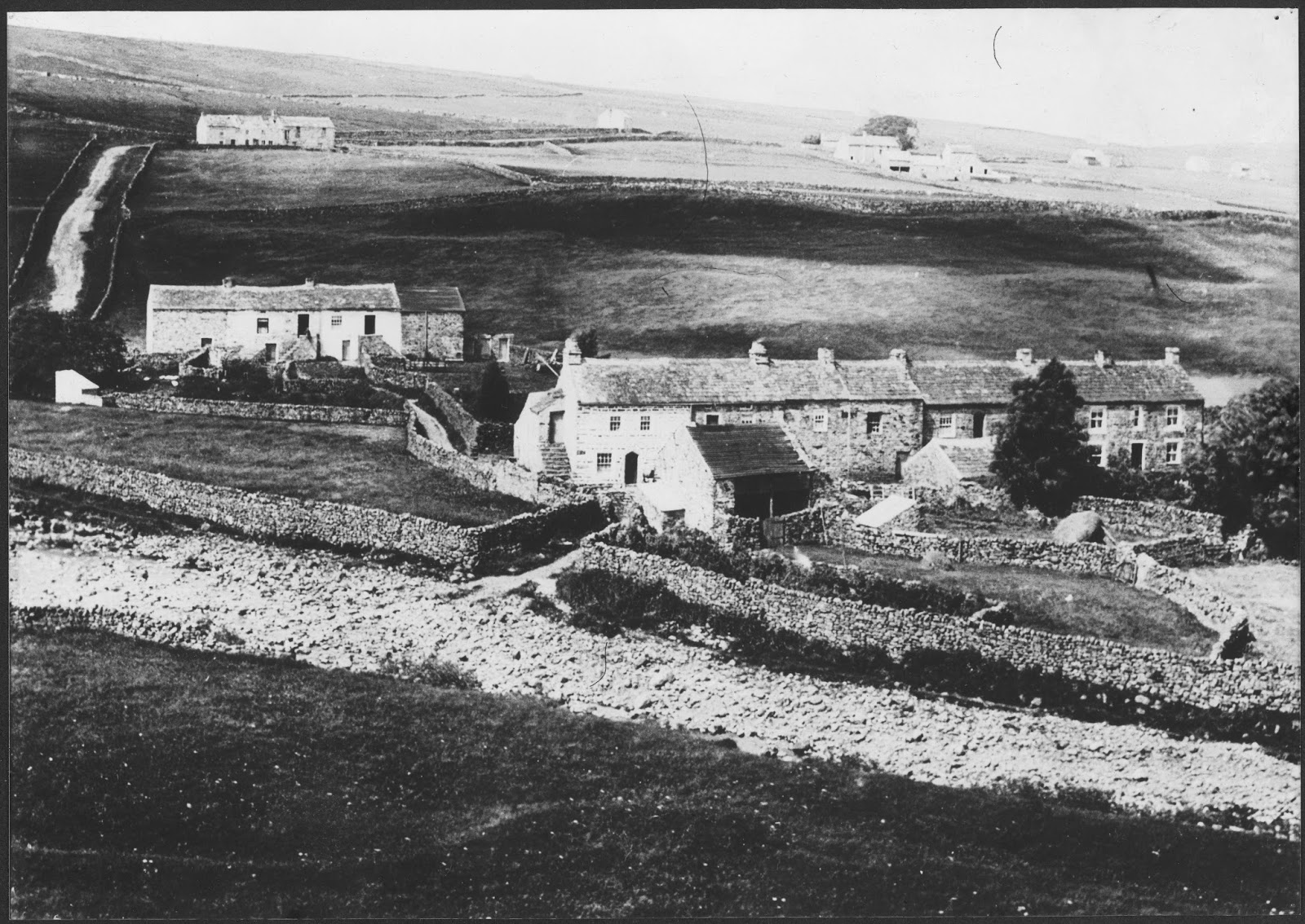 Heather in Cowshill: Burnhope in Weardale Village