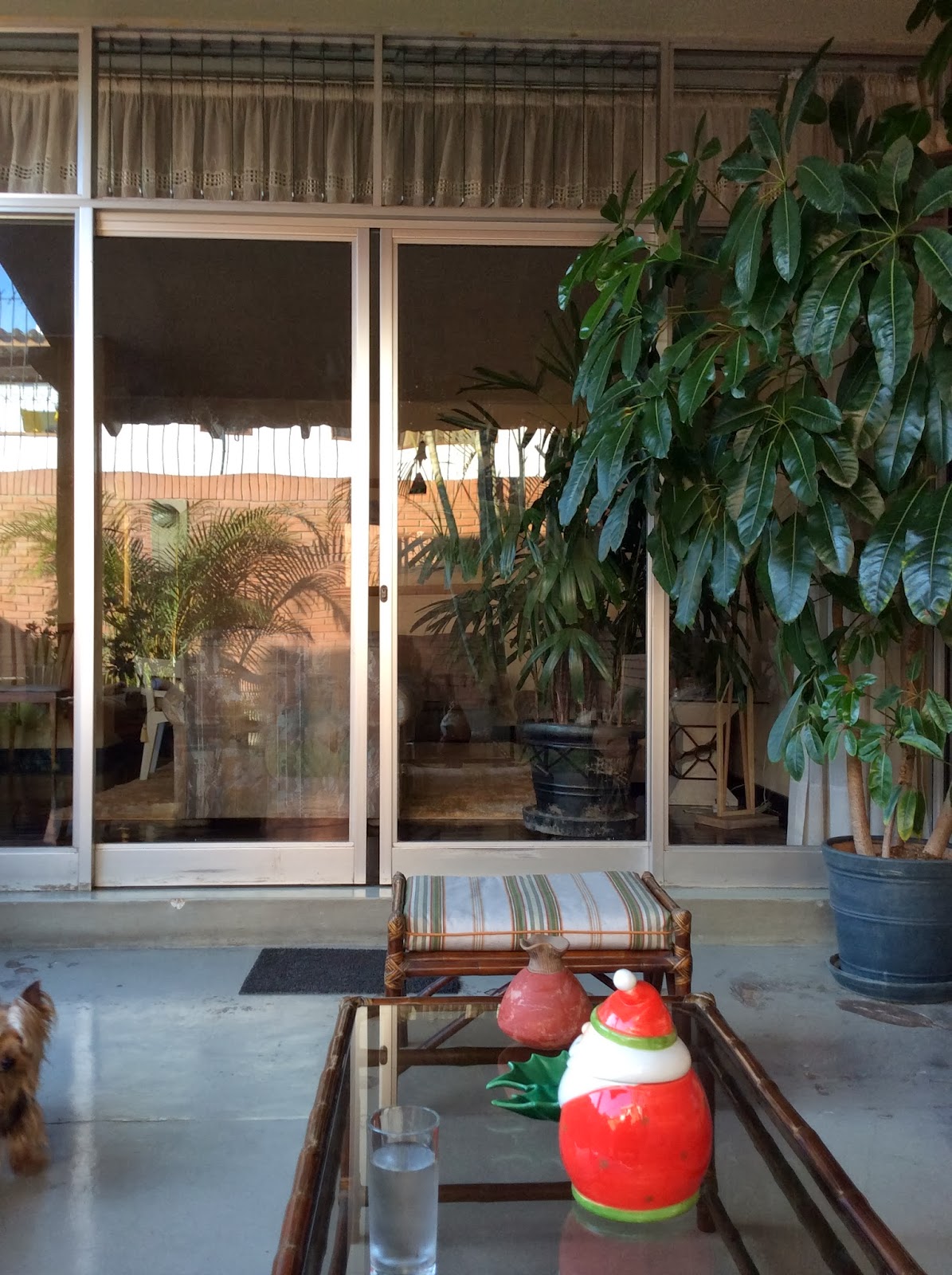 Jarrett Bellini: Peru 2013