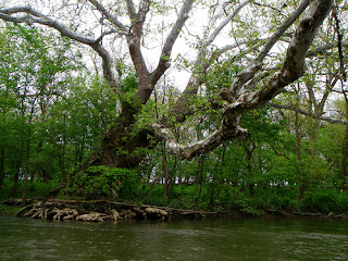 A Week in English Class: A Separate Peace