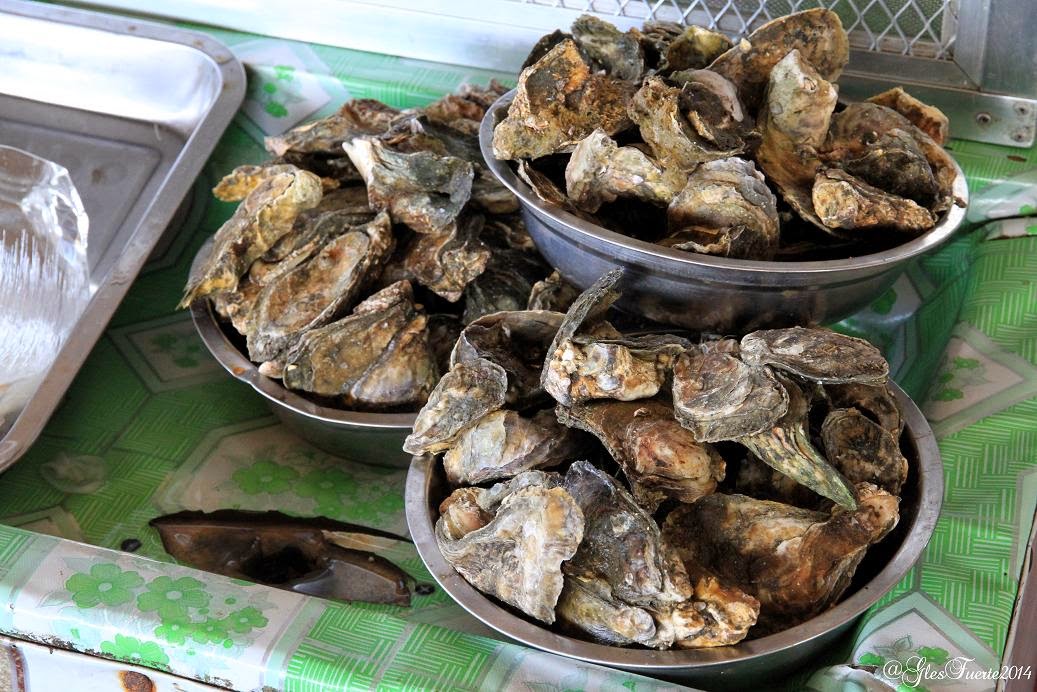 Explore.Dream.Discover: Explore Captivating Capiz