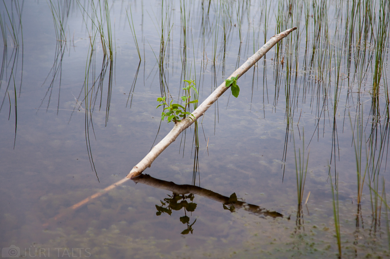 Minu hetked ...: Seli raba, Kilplala ja Äntu järved