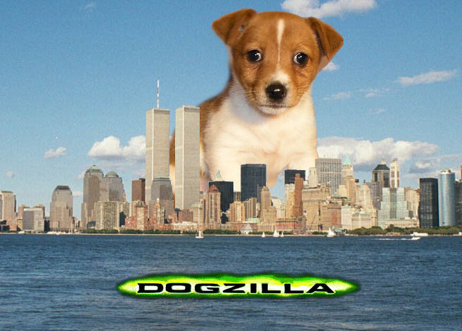 Все изображения "Dogzilla" / picsbase.ru