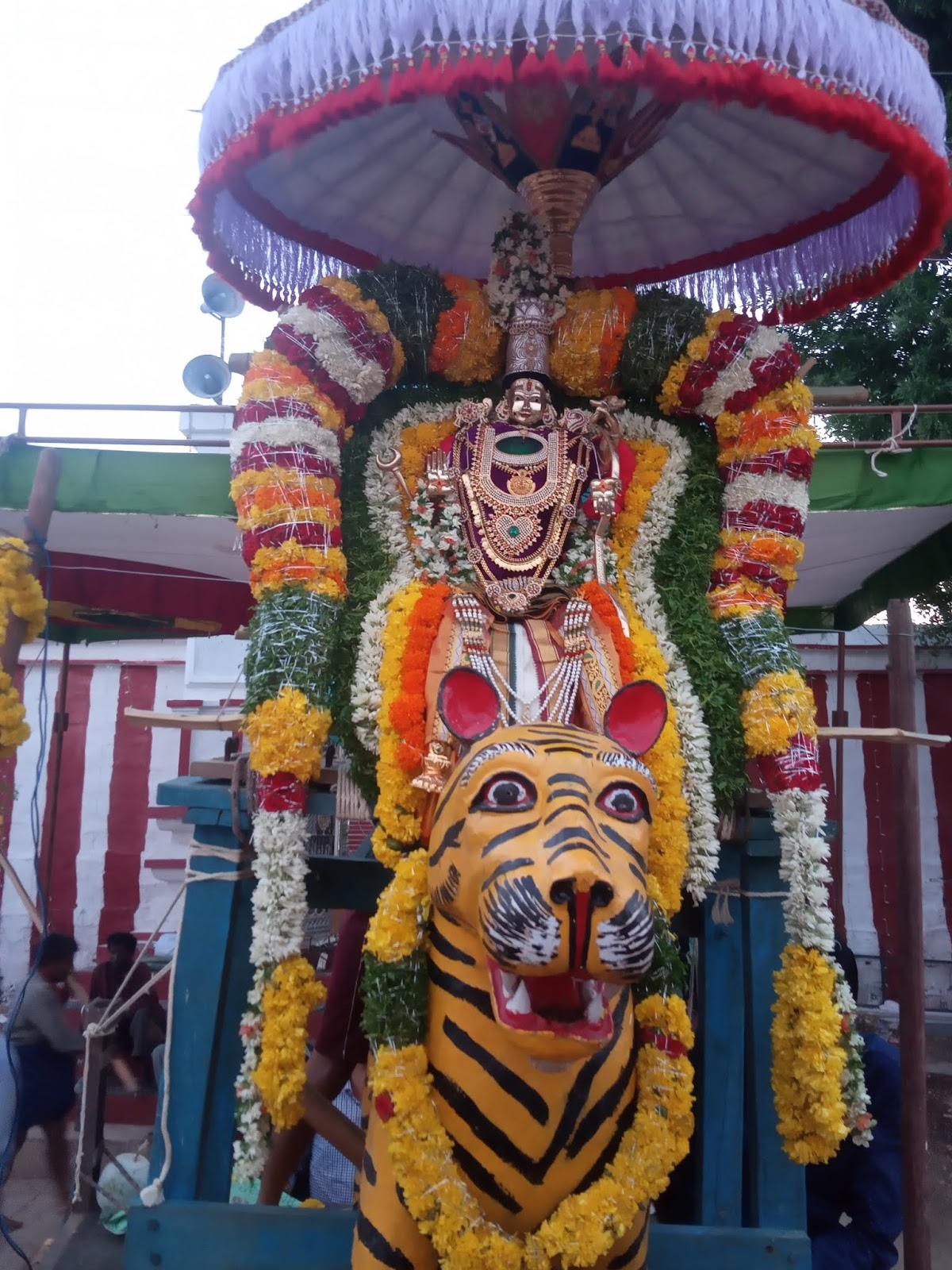 Sri Bhavanarayana Brahmotsavalu, Puli Vahanam 08-05-2019 Evening - Sri ...
