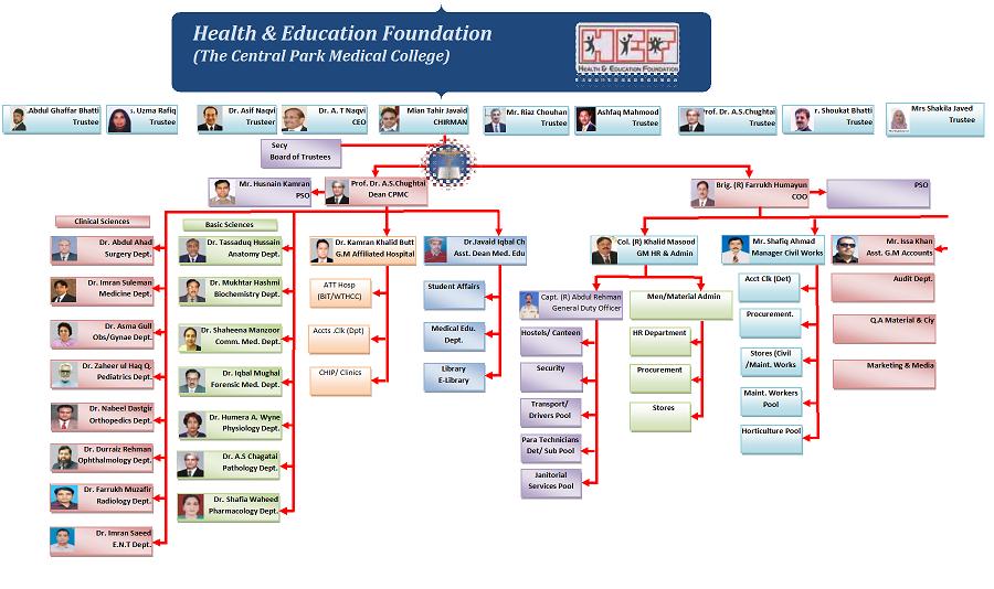 Health & Education Foundation, Pakistan: Organogram, H&EF, CPMC