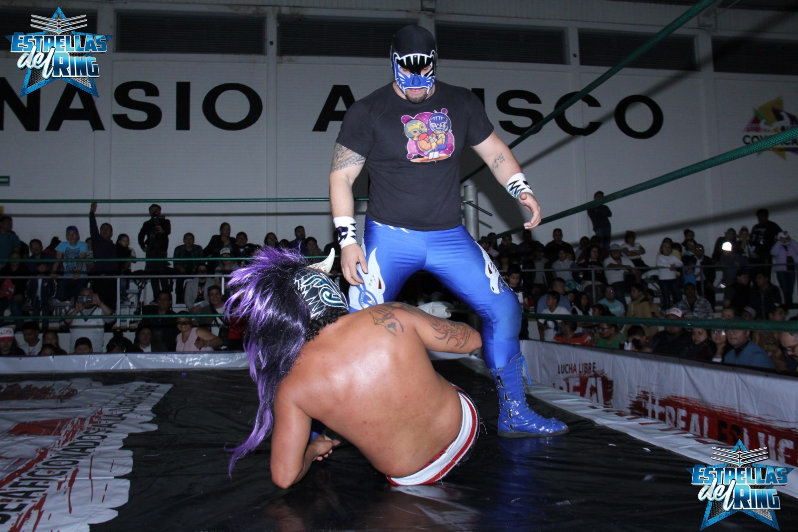 ESTRELLAS DEL RING.: Triunfo de la secta y se viene ¡¡¡ SECTA vs CL4N ...