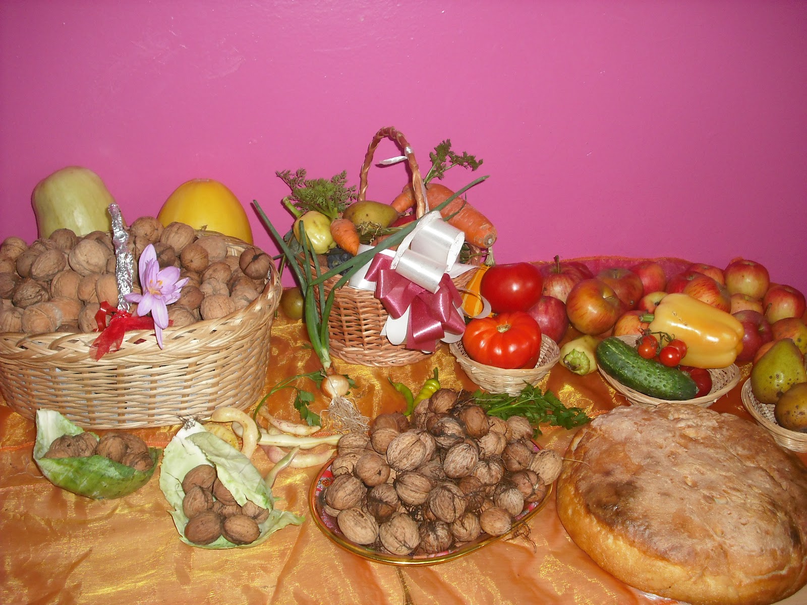 Clasa noastra: Activităţi de toamnă