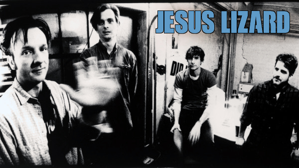 Jesus Lizard Pure