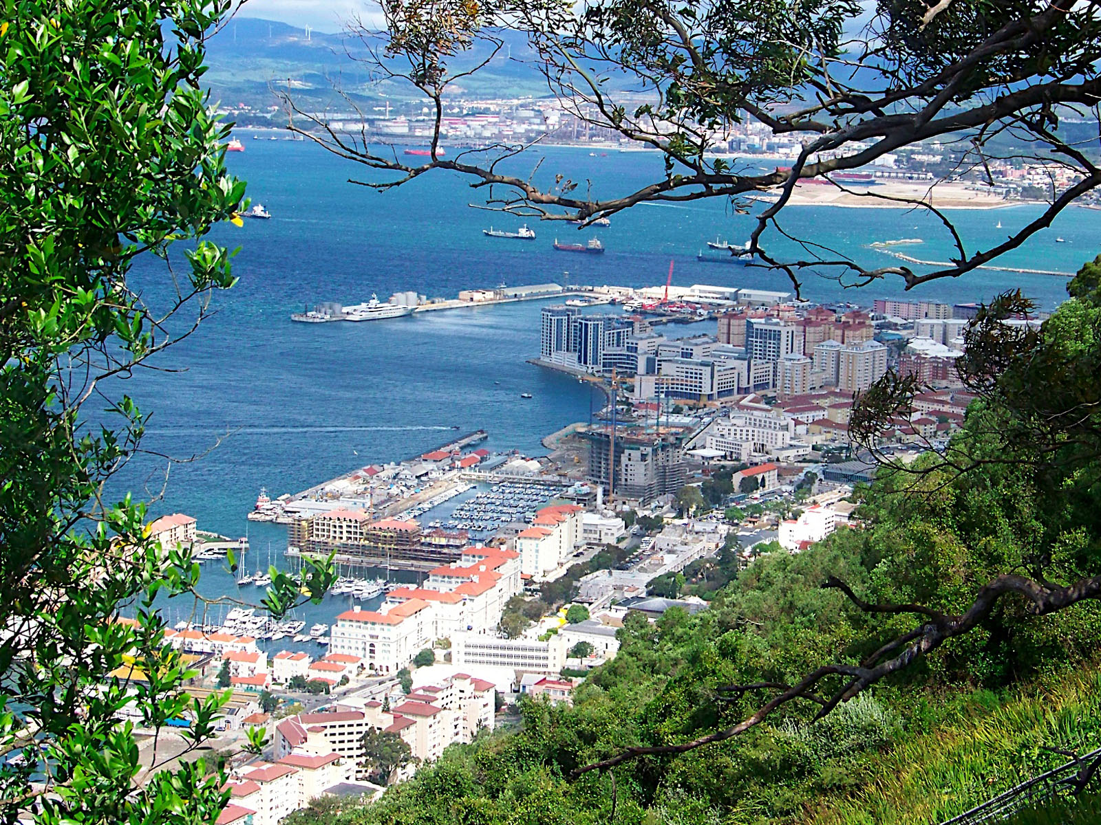 Travel & Adventures: Gibraltar. A voyage to Gibraltar ( disputed ...