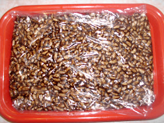 ZORINI RECEPTI: Domaća čokolada sa rižom