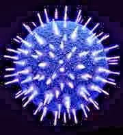 SIDA: Banque d'image