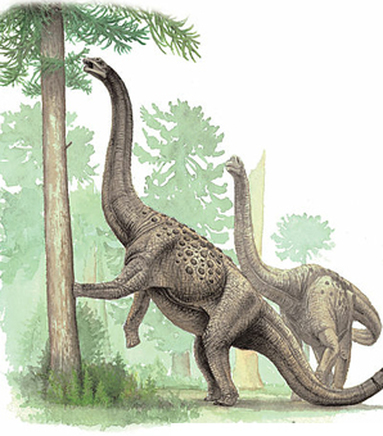 Mundo Pré-Histórico: Dinossauros do Brasil