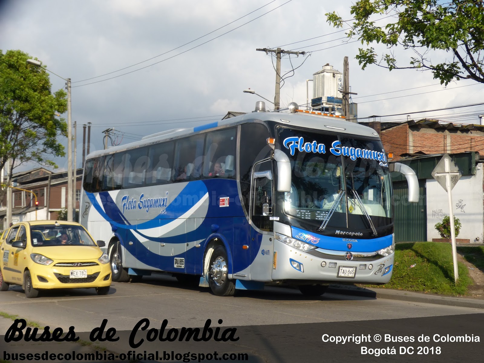 Buses de Colombia - Oficial