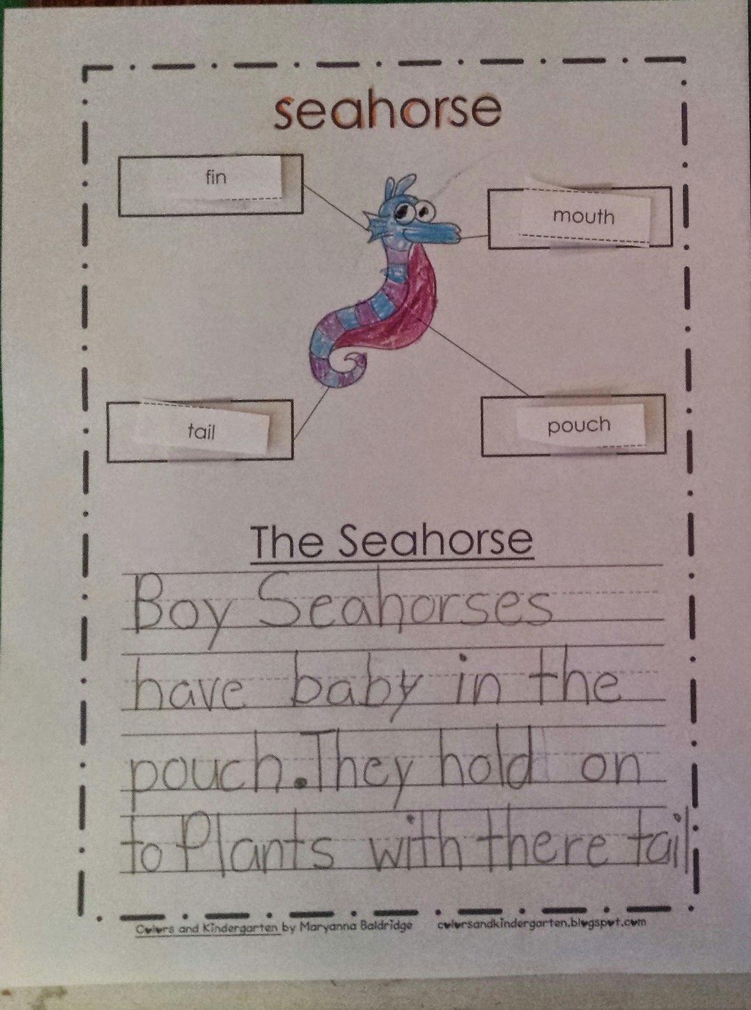 Colors and Kindergarten: Sea Turtles and Sea Horses!