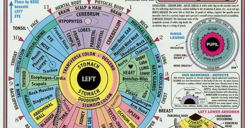 BethSoil: Eye - Diagnostic Chart