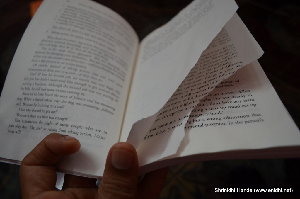 BunSpace.com Forum: Norman's Nook