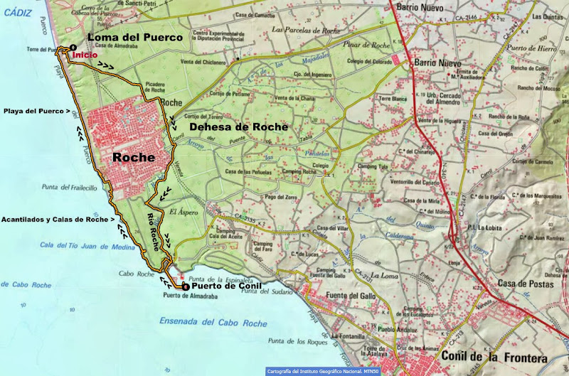 TROTONES BLOG: Loma del Puerco - Cabo de Roche: torres, pinares y ...