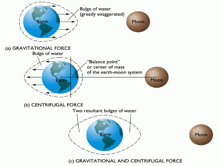 More than Physics: Mengenal Apa Itu Gaya Gravitasi