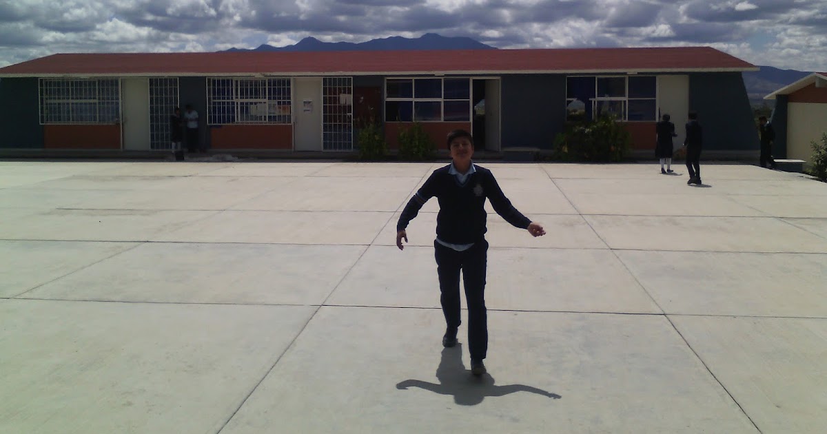 bic 29 Aldo fotos: BIC 29 descripcion general