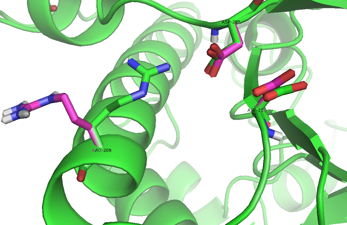 Shadow Wolf: Scwrl 4
