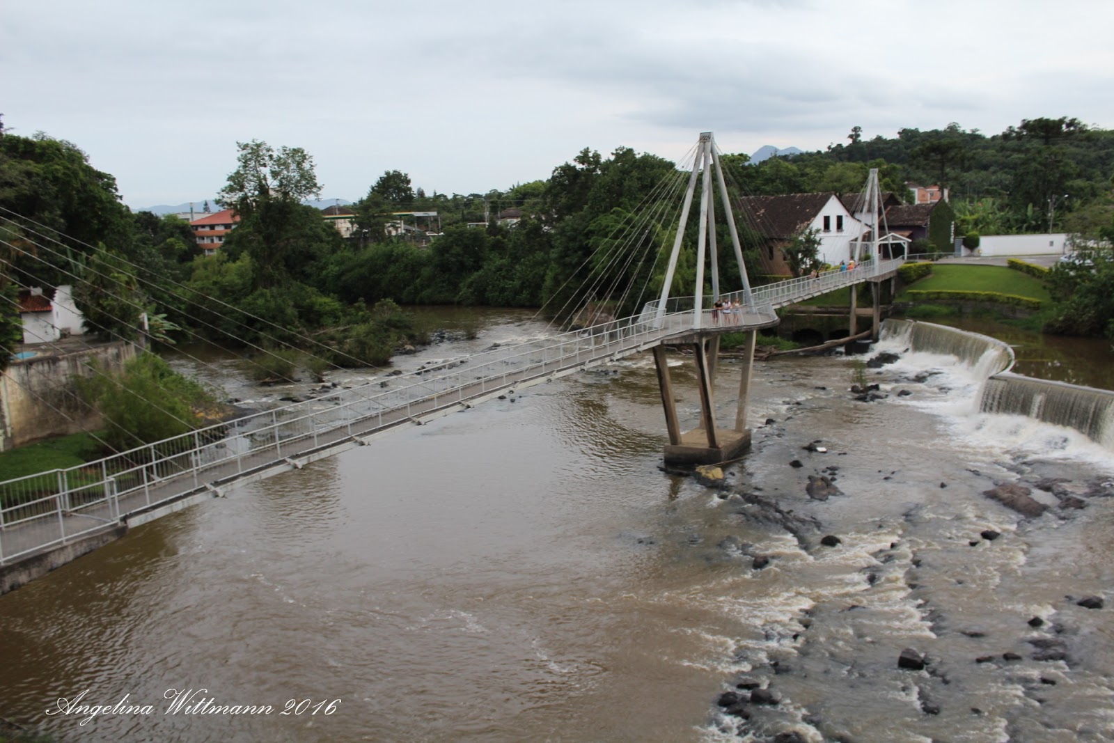 Angelina Wittmann - Arte-Cultura-História e Antropologia : Timbó - SC ...