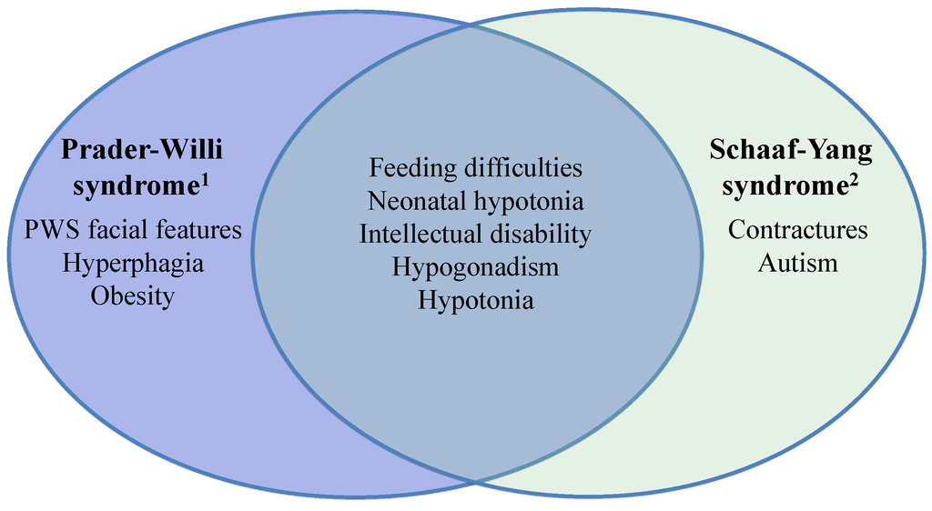 Especial é Ser Criança: Síndrome de Schaaf-Yang