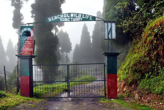 The Weekender: Senchal Wildlife Sanctuary with Chatakpur,Bagora ...