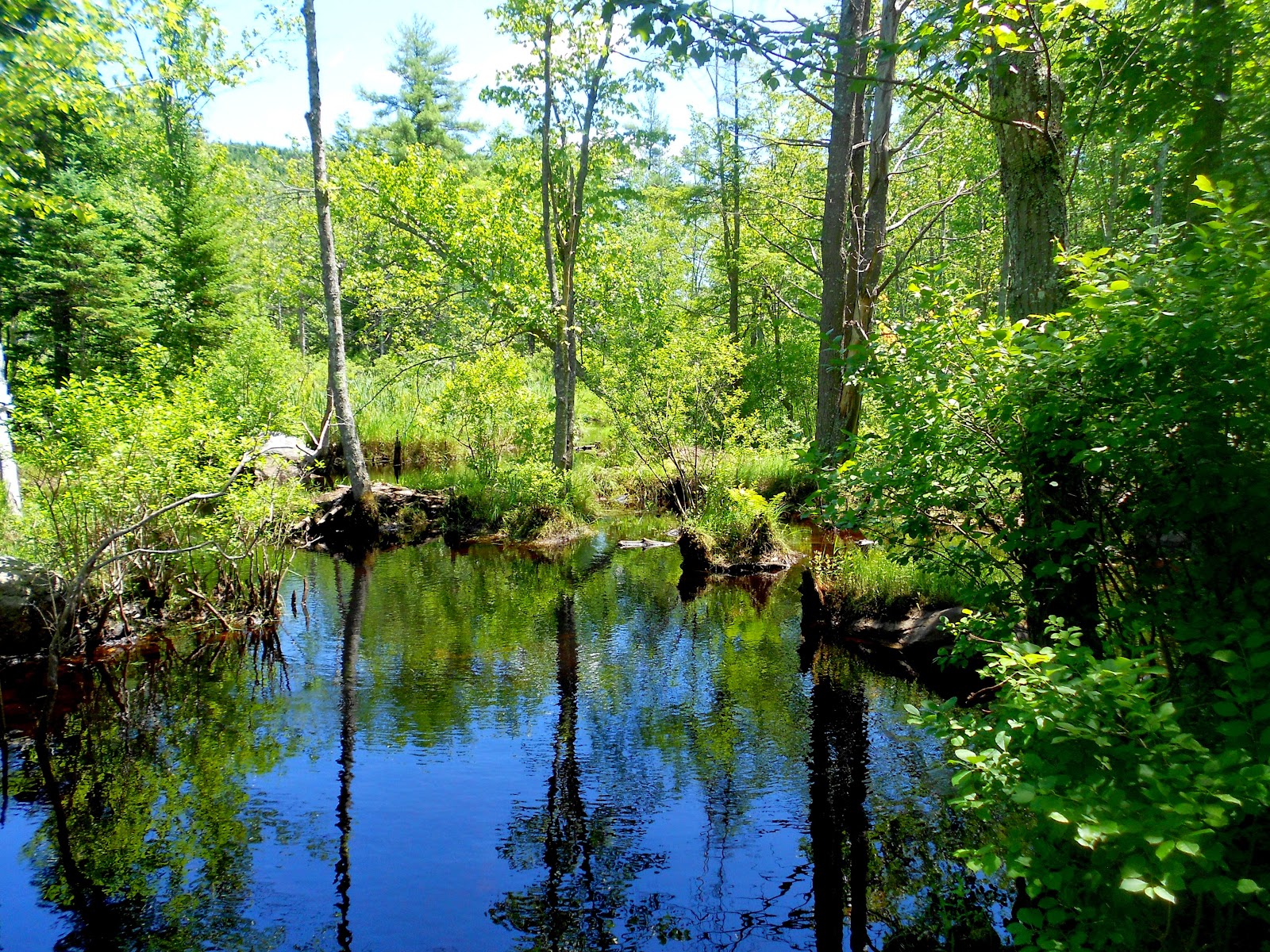 Breakheart Outdoors: Midstate Trail Hike