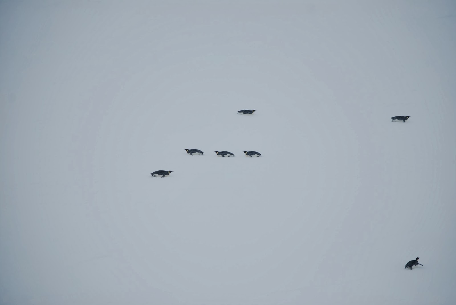 My Antarctic Adventure: September 2013