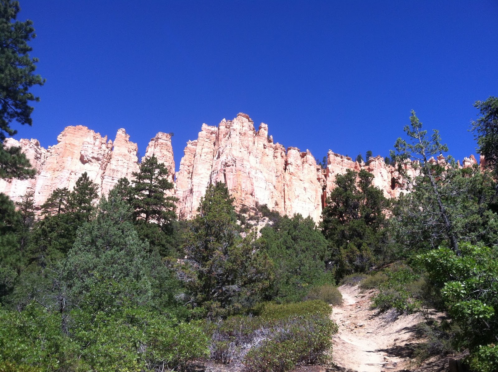 Myatt's Hikes: Sheep Creek and Swamp Canyon Connector Trail Loop, Bryce ...