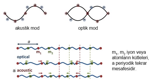 Prof. Dr. Bilsen Beşergil: Fonon (phonon)