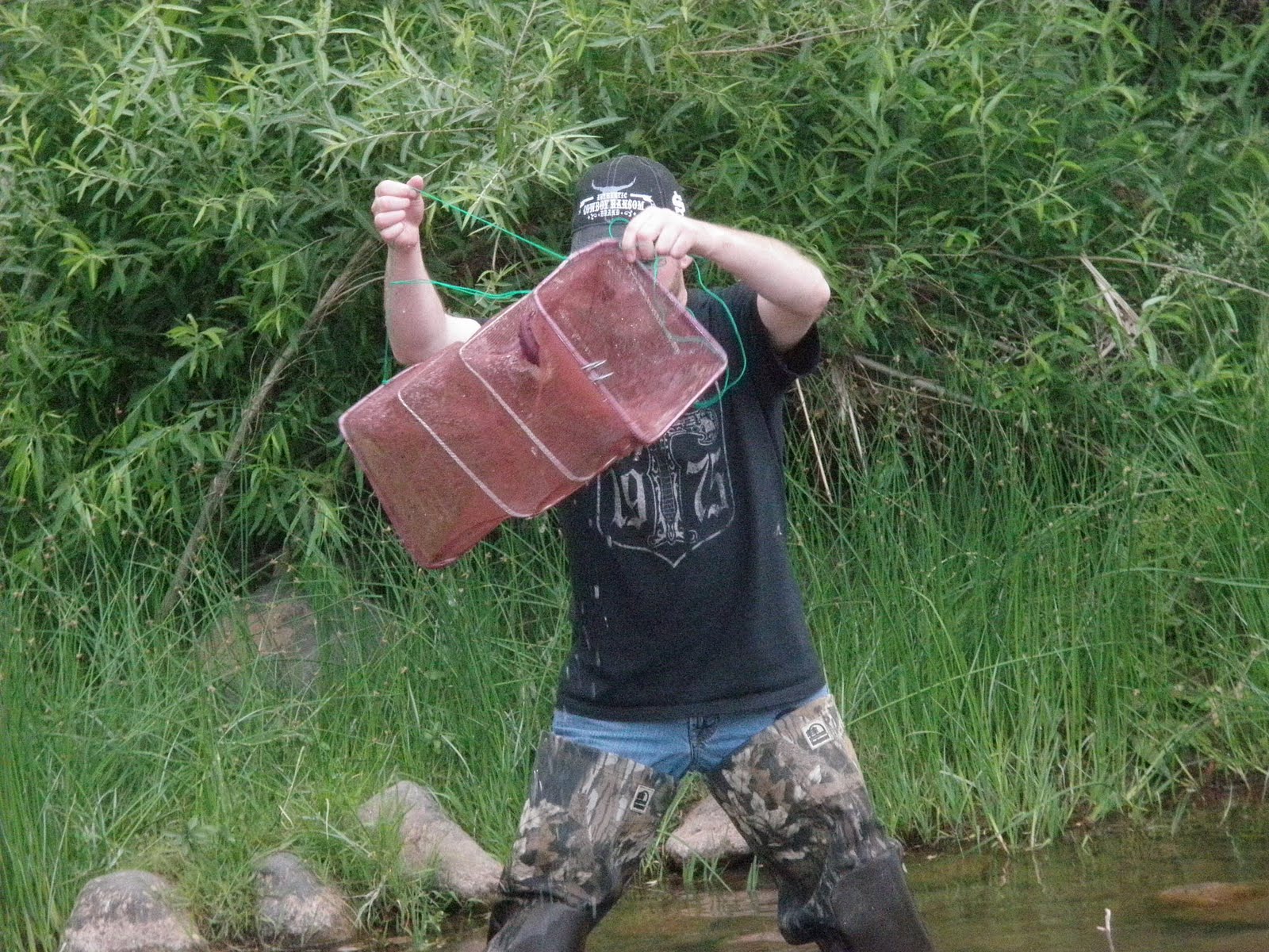 Arizona Crawfish Company: June 2013