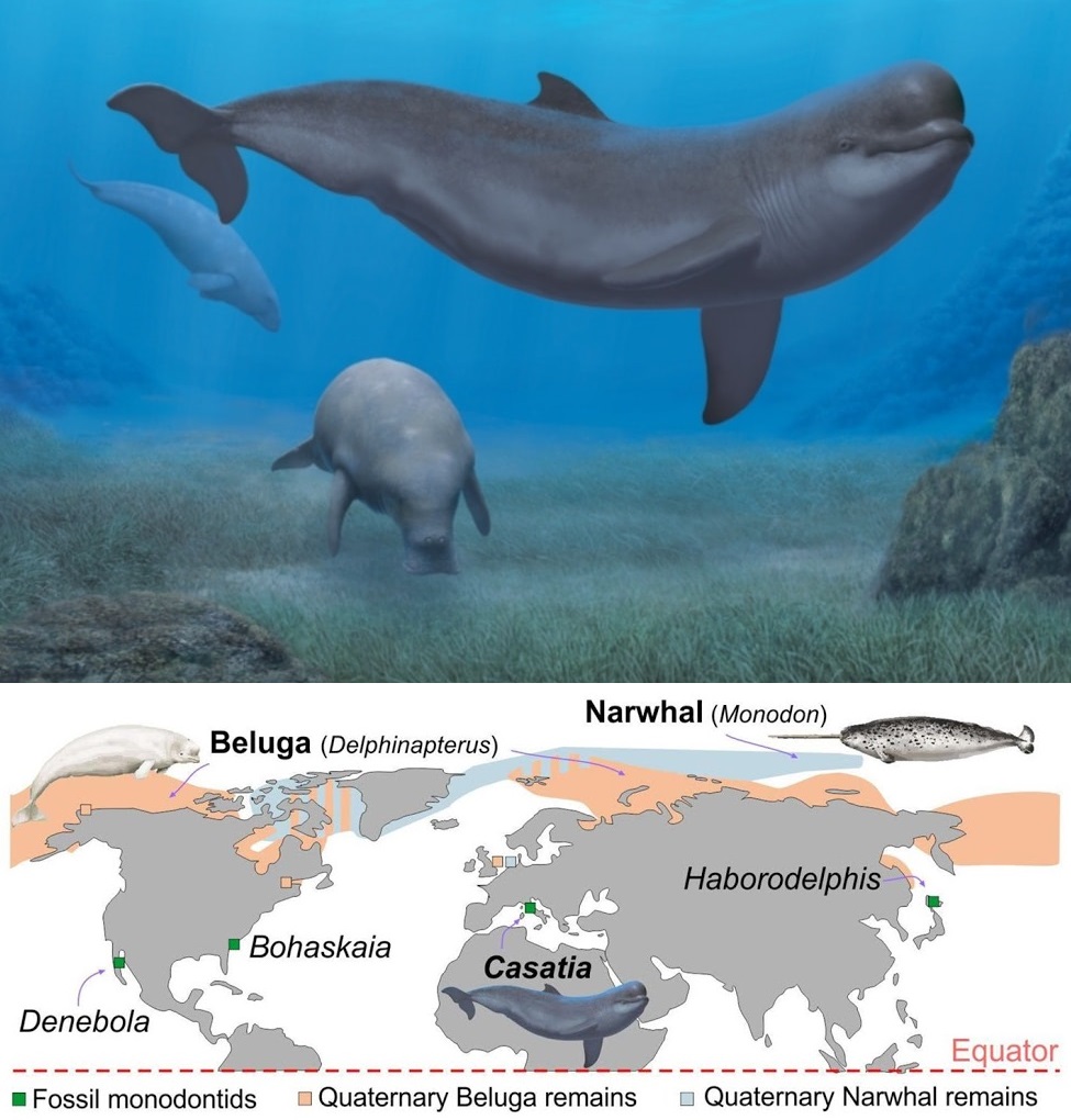 Species New to Science: [PaleoMammalogy • 2019] Casatia thermophila • A ...