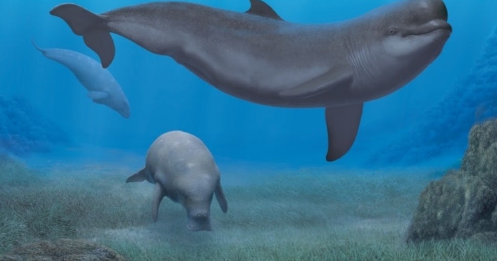 Species New to Science: [PaleoMammalogy • 2019] Casatia thermophila • A ...