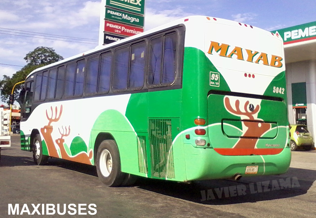 MAXIBUSES: AUTOBUSES MAYAB