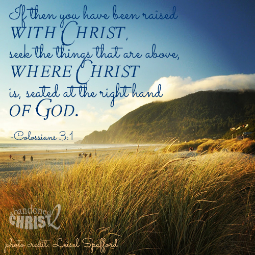 Suffering Produces Spiritual Strength or Reveals False Conversion ...