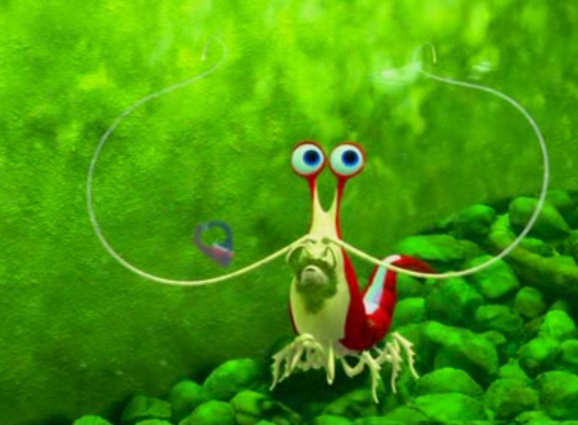 5 Disney Fish Jacques From Finding Nemo Cartoon movie Wallpaper