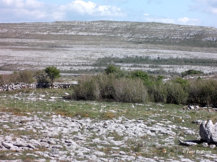 The Ever-Living Ones: The Burren: Land of the Fertile Rock.