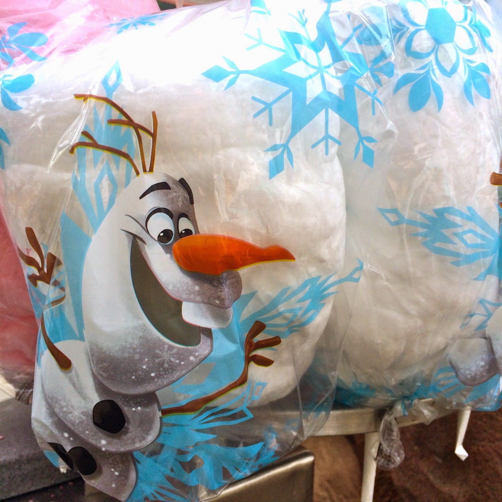 Disney Sisters: Frozen Summer Fun Guide to Walt Disney World