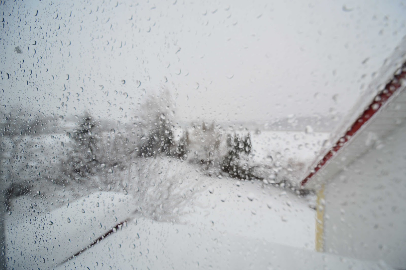 W-wa Jeziorki: Easter Sunday in the snow