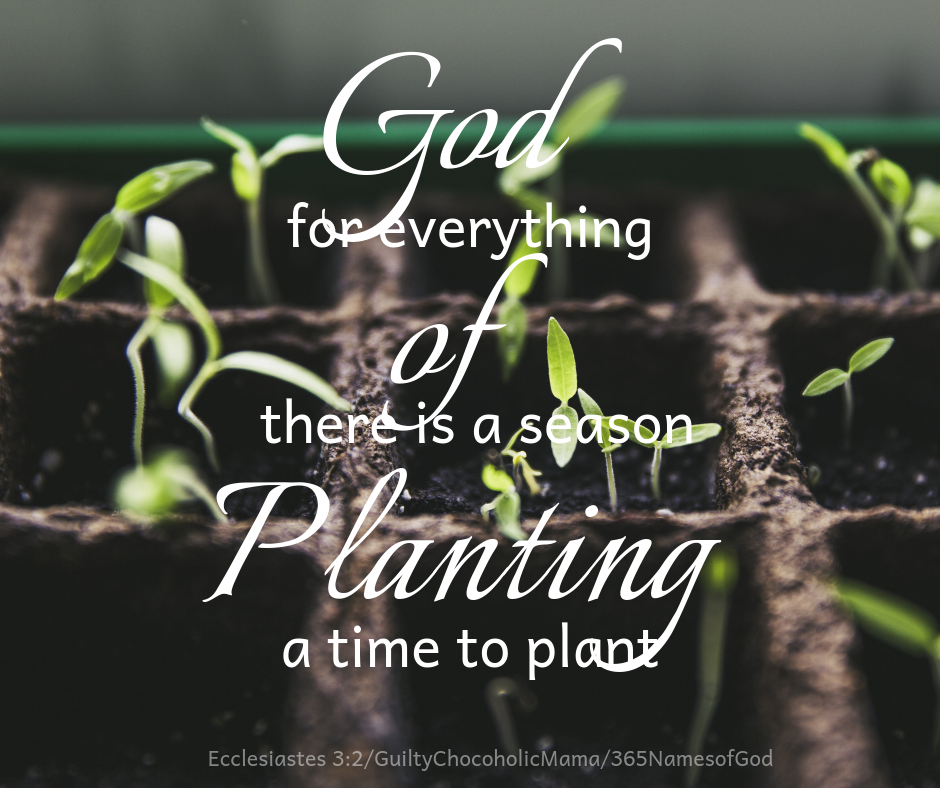 Guilty Chocoholic Mama: 365 Days of the Great Names of God, Day 104 ...