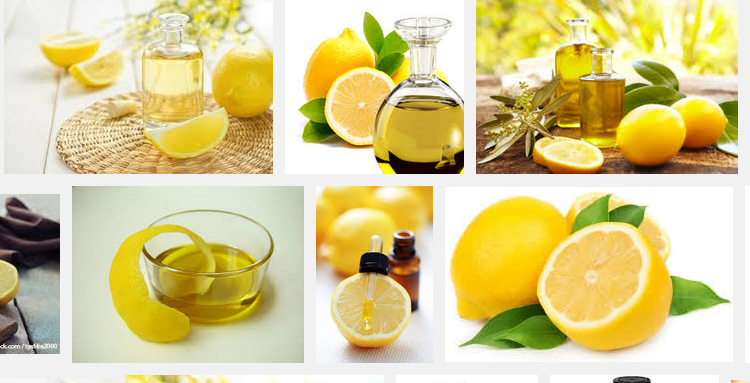 FUNGSI MINYAK ESENSIAL LEMON YANG MENAKJUBKAN/CITRUS LIMON OIL ...