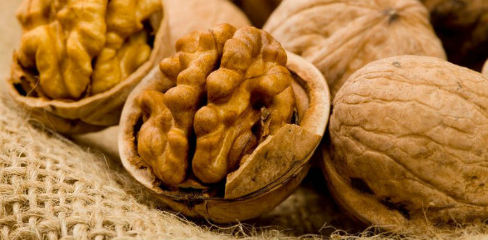 E Nos Lases Iuvate: Il Noce