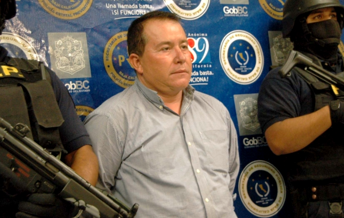 Linked first with Arellano Felix, then Sinaloa; Garibay Released in San ...