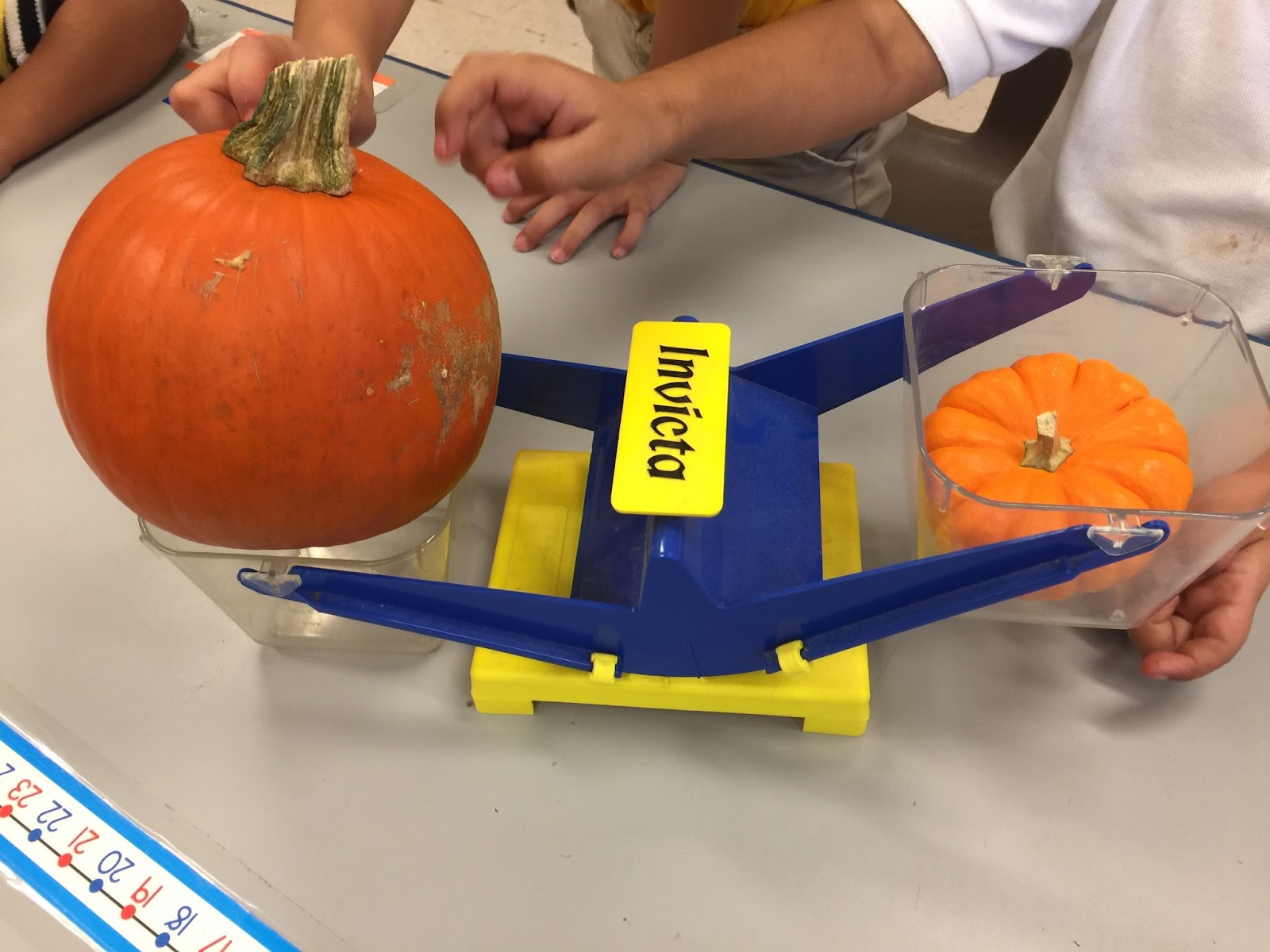 baul de ilusiones: Proyecto: Todo sobre las calabazas